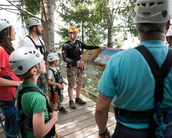 Home Ziptrek Ecotours